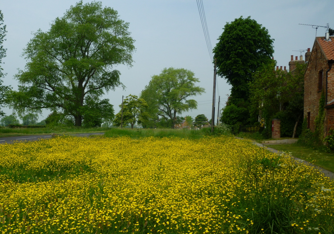 Flaxton Village Pictures – Flaxton Parish Council